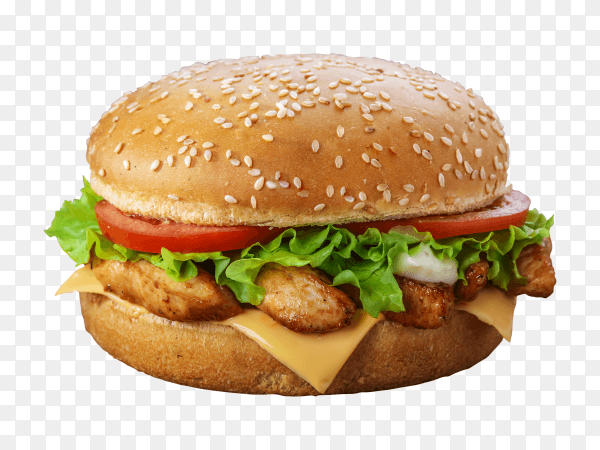 Floating burger transparent background PNG | SimilarPNG